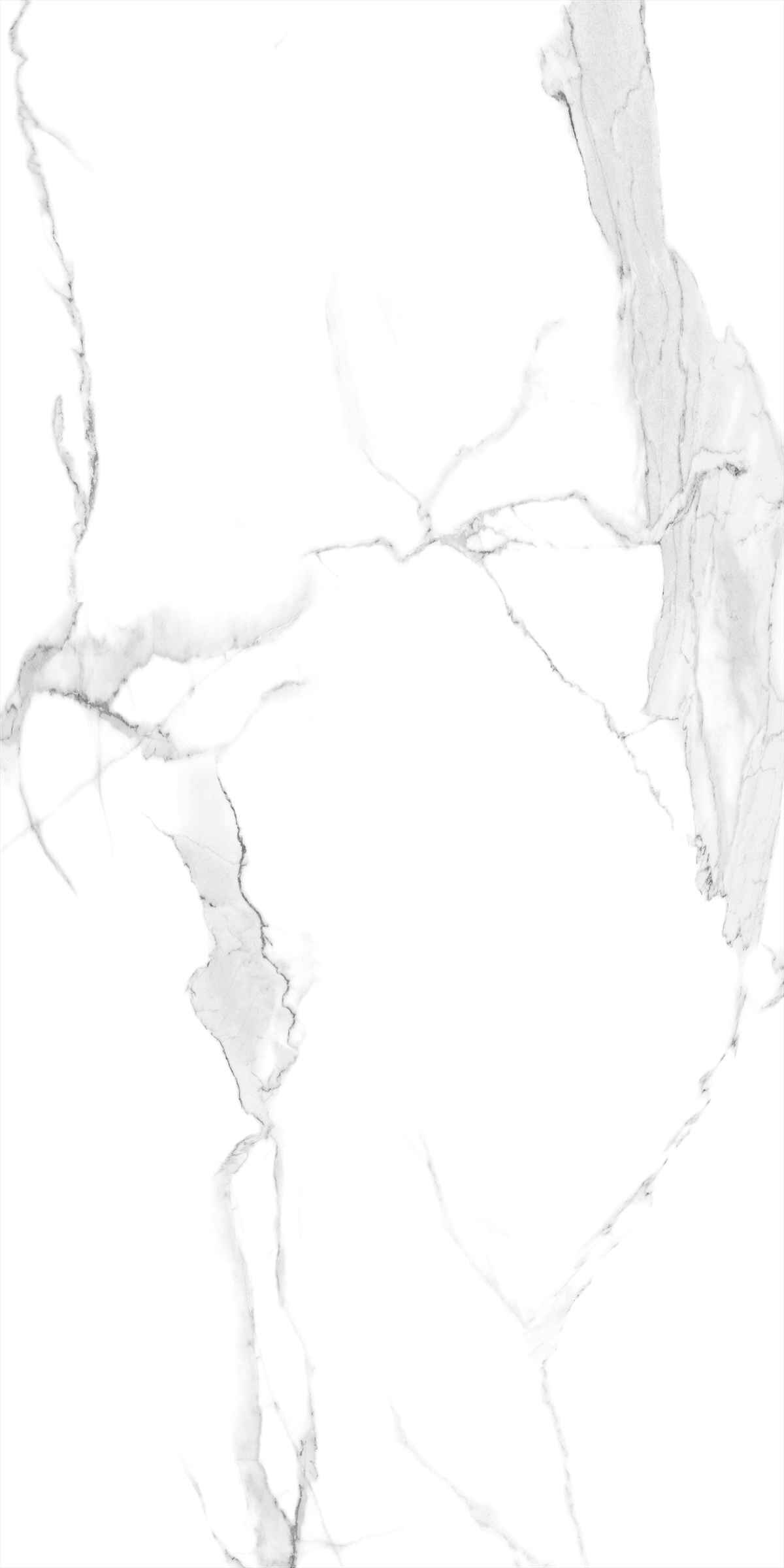 CALACATTA WHITE POLISHED | Decovita